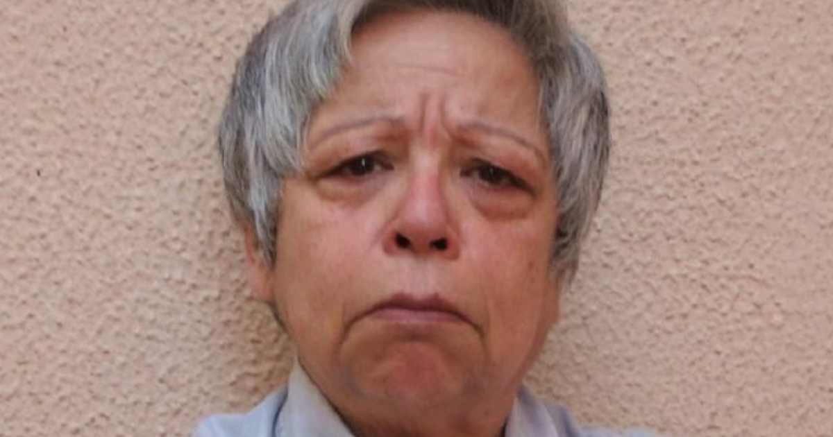 Maria Vieira surpreende e candidata-se a deputada da Assembleia da ...