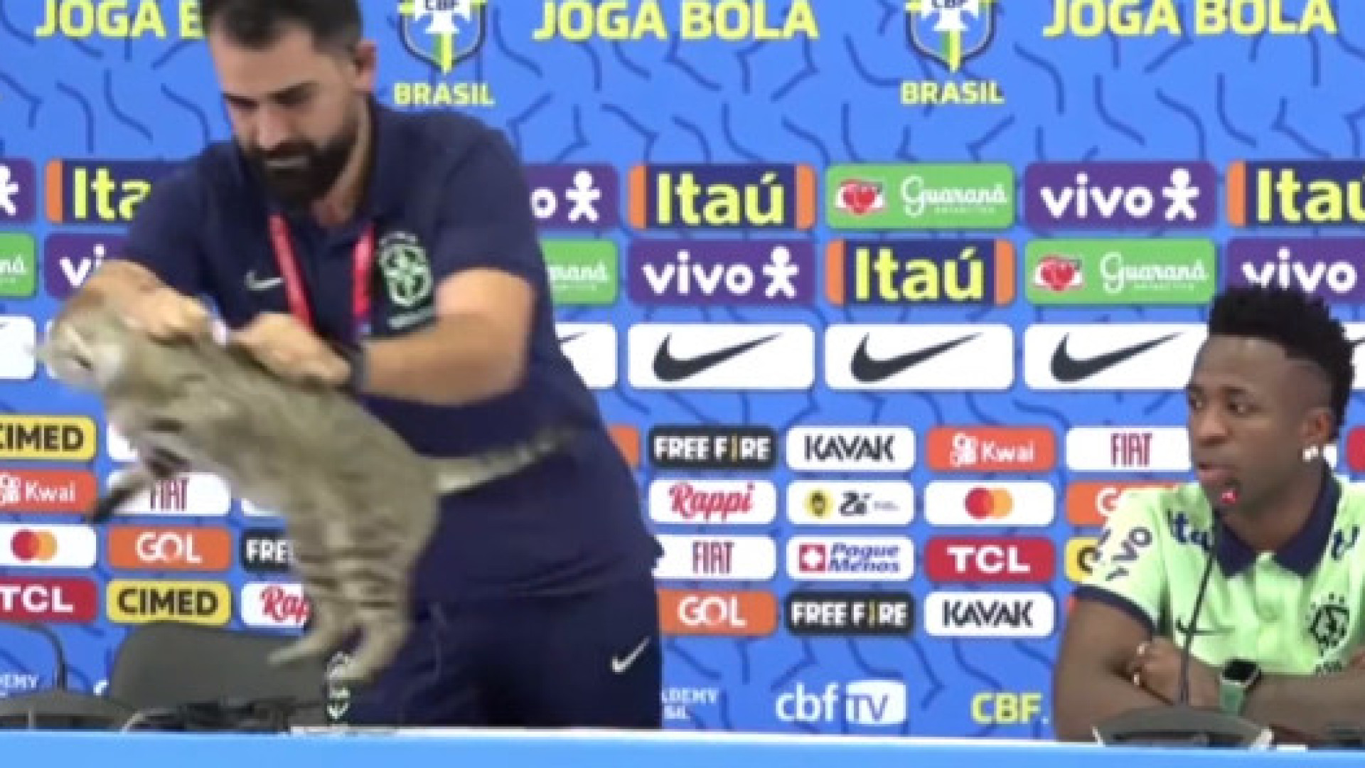 Mundial 2022: Gato protagonista na conferencia de imprensa, mas acaba ...